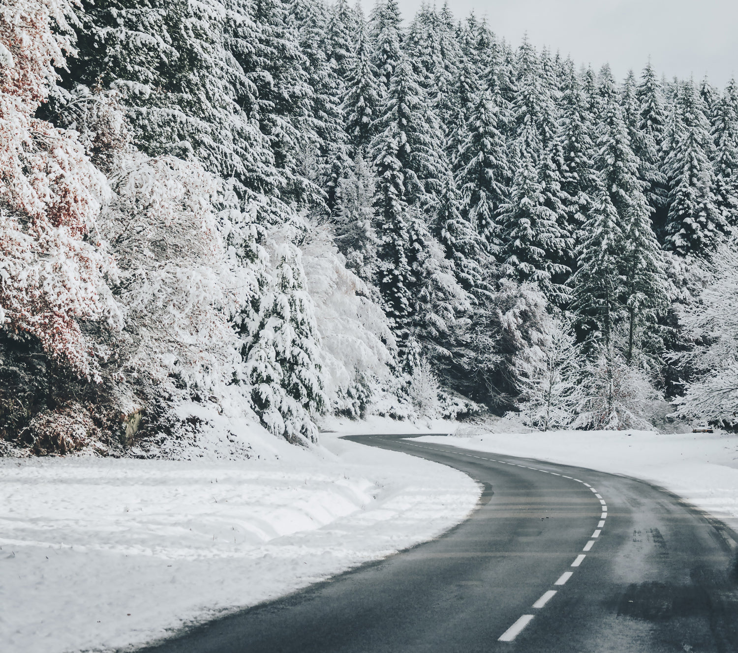 How to cope with cold? What effect does cold have on the body? – NAQI sport